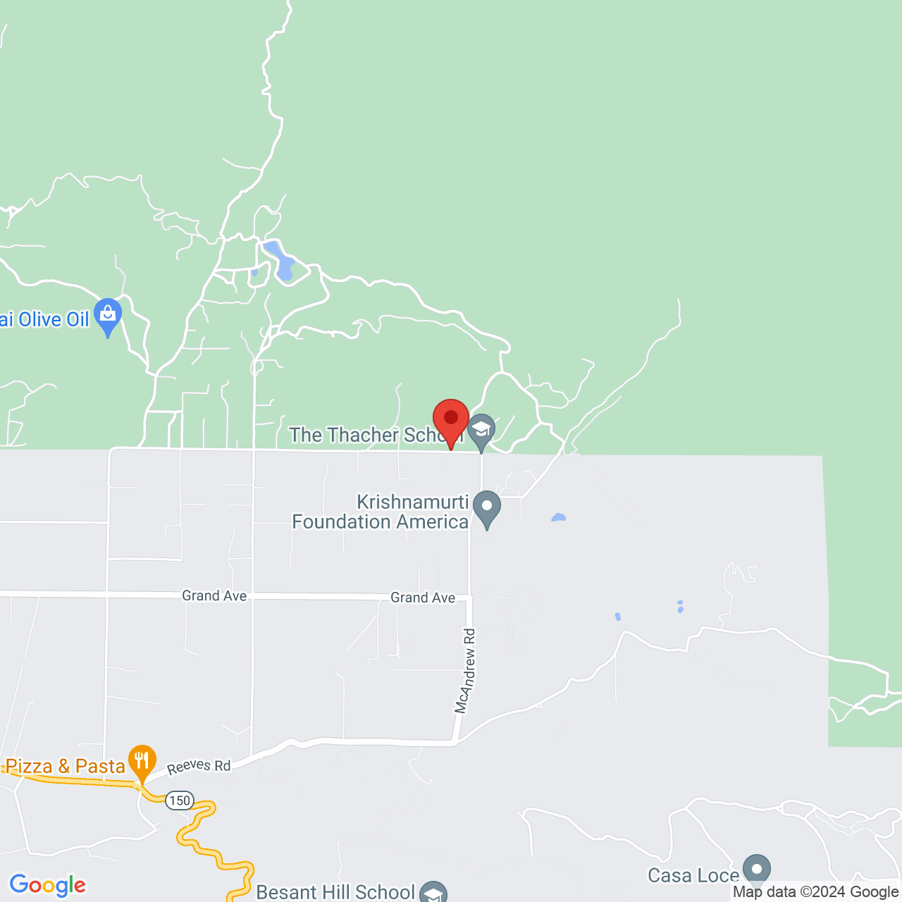 Drive through the Orange Groves, Ojai