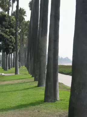 Cabrillo Bike Path and Skater's Point