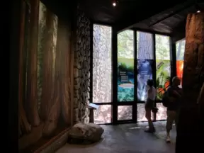 San Francisco Visitor Center Nature Store Restocked At Don Edwards SFB