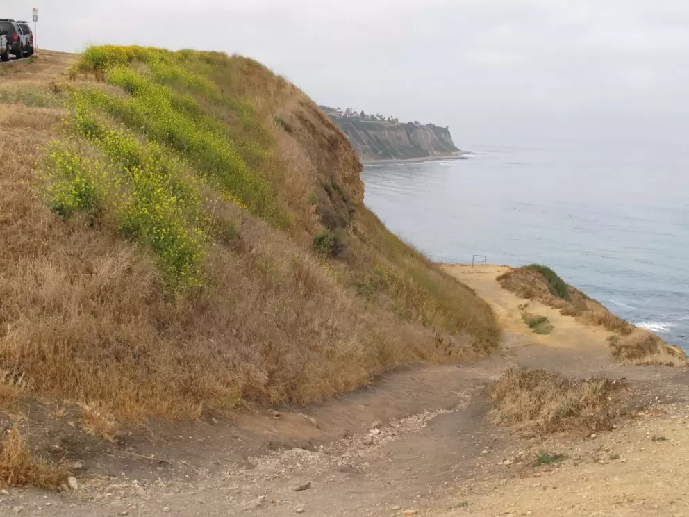 Bluff Cove, Palos Verdes Gallery