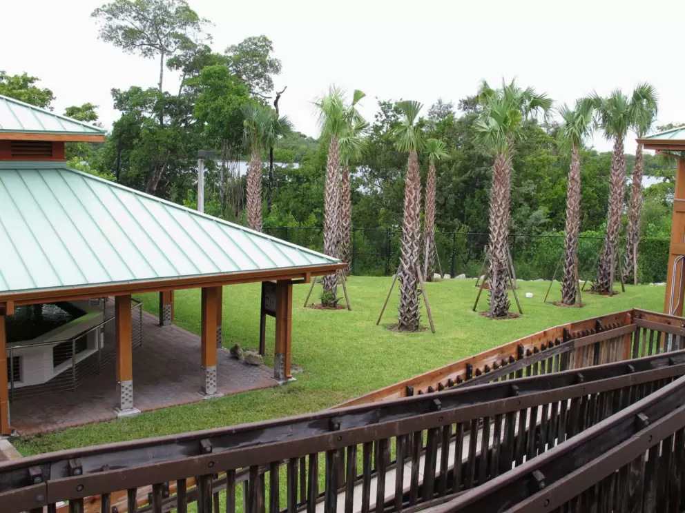 Gumbo Limbo Nature Center, Boca Raton Gallery