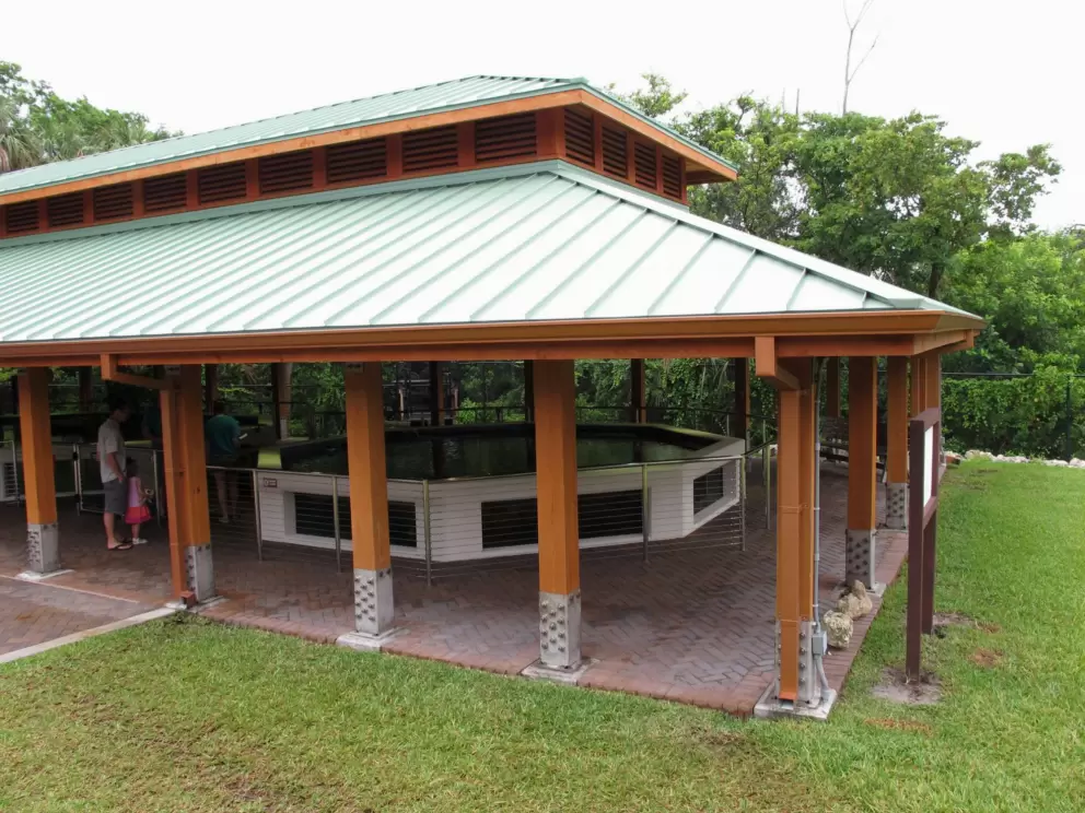 Gumbo Limbo Nature Center, Boca Raton Gallery