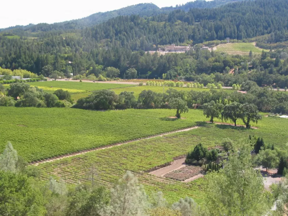 Sterling Vineyards, Calistoga Gallery